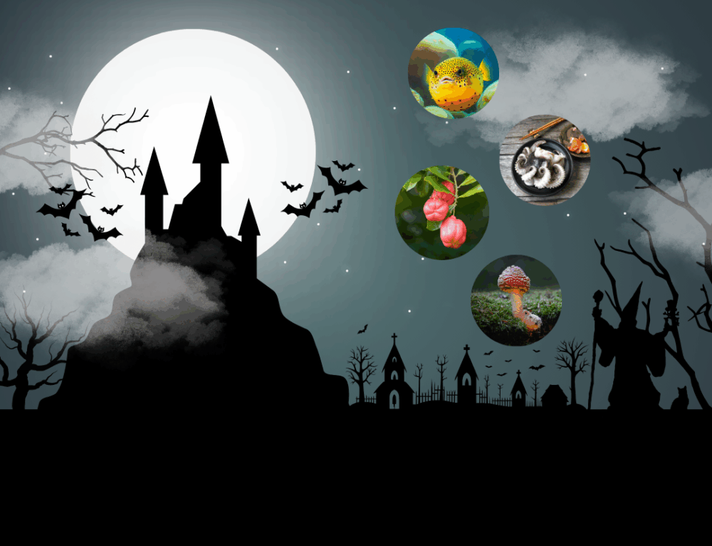 Best Korean BBQ and Restaurants in Calgary – Savour Calgary